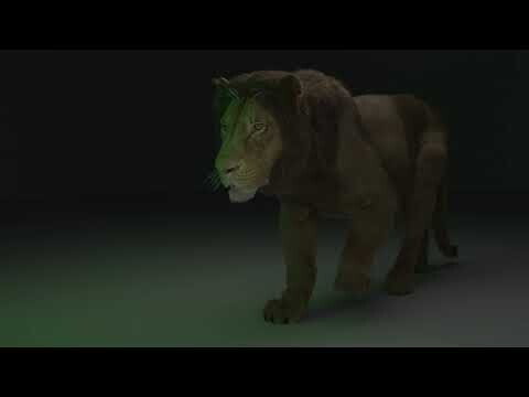 ArtStation - Grooming Lion