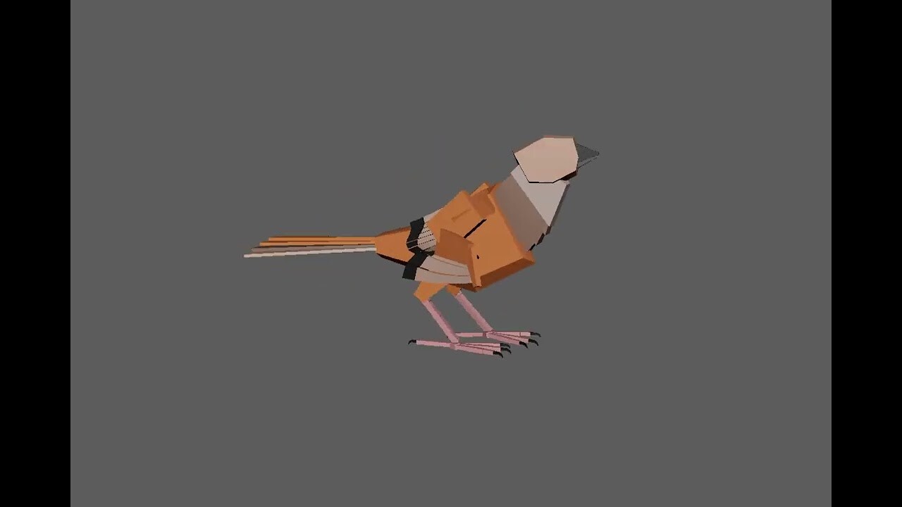 ArtStation - Bird animation