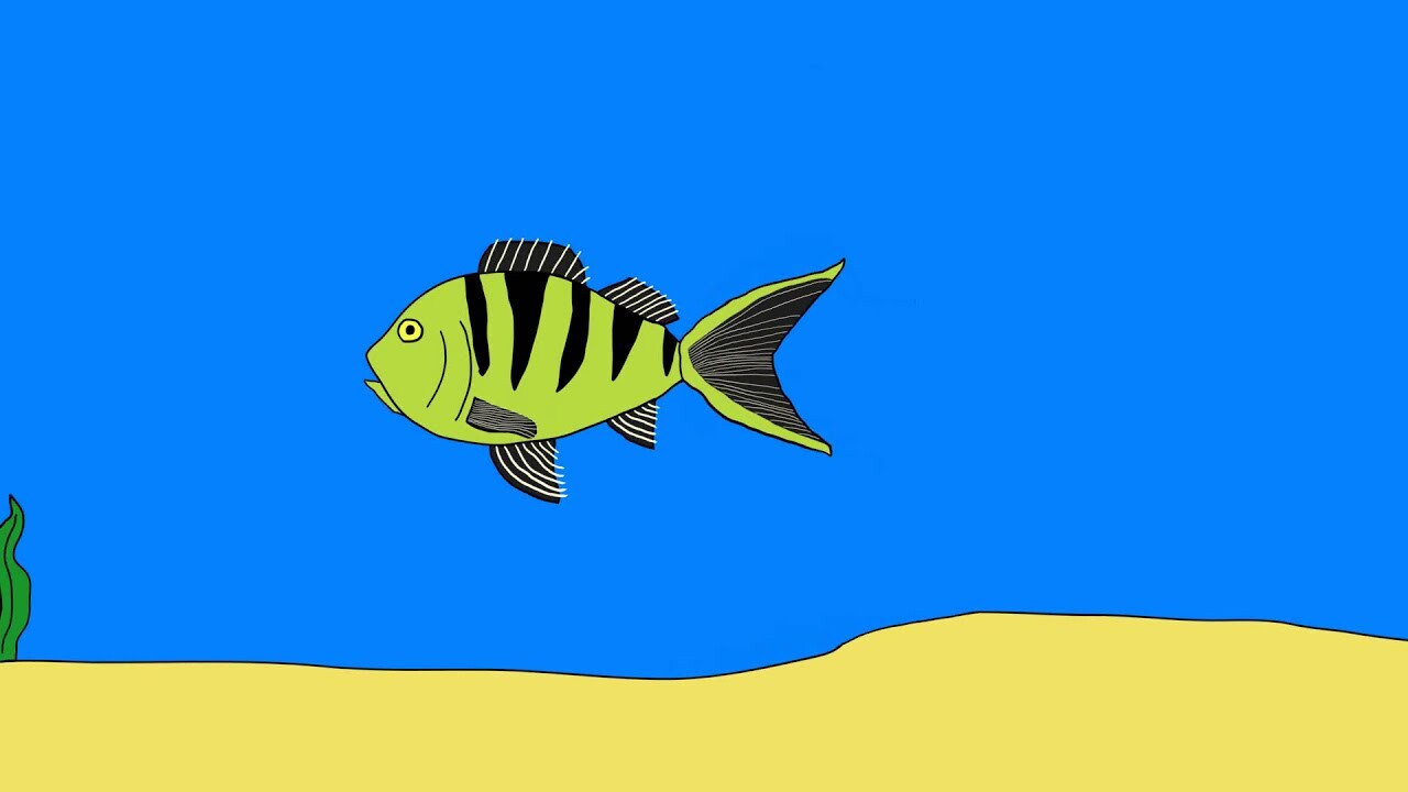 ArtStation - 2D animation swimming fish