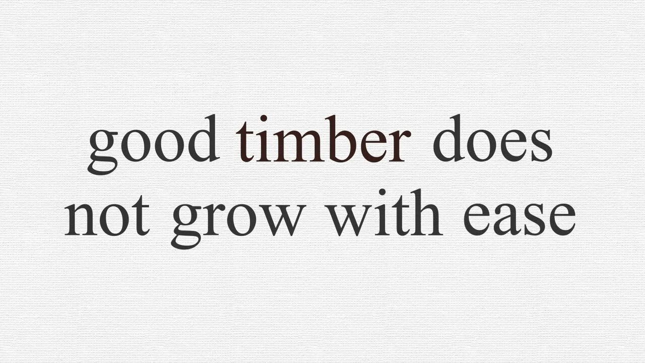 ArtStation - Kinetic Type Quote