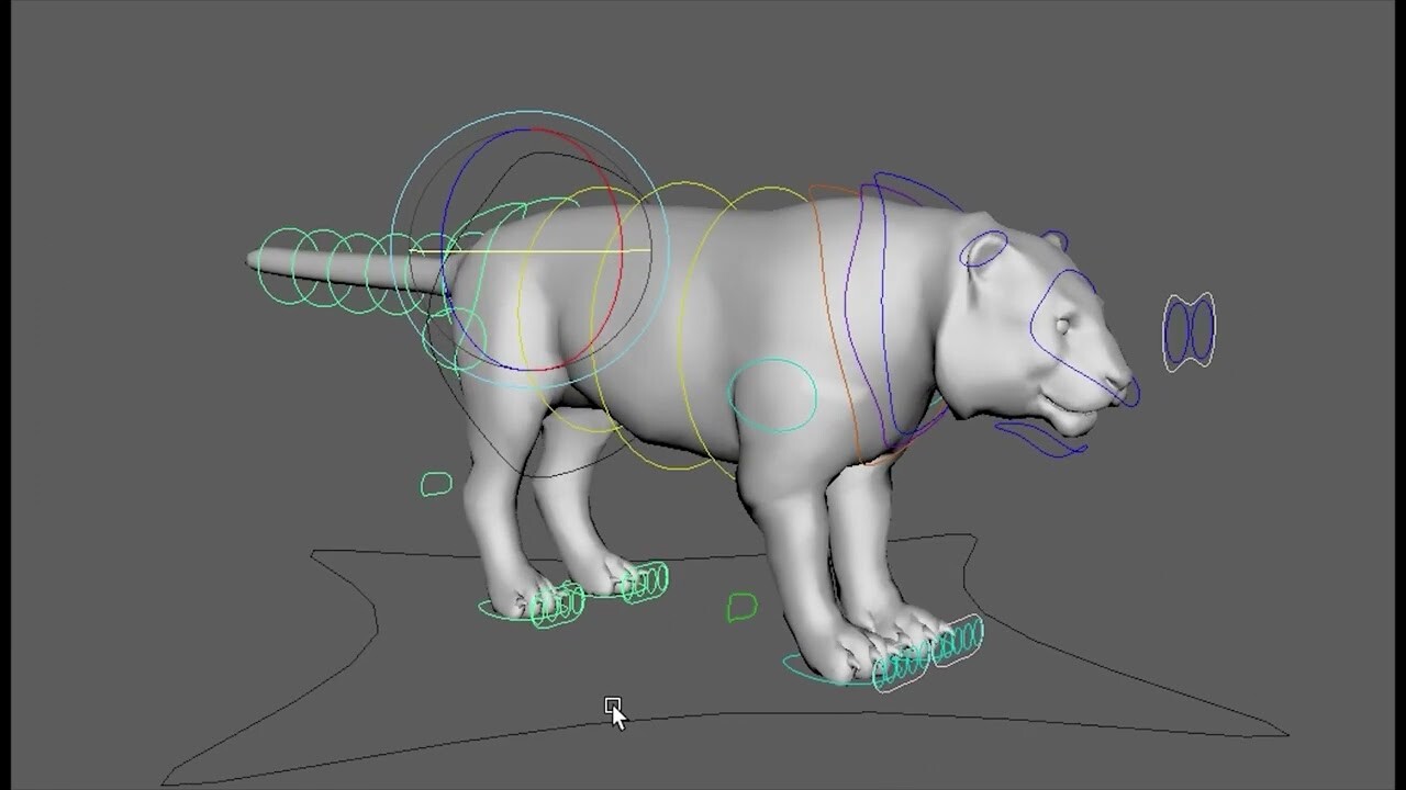 ArtStation - Tiger rigging