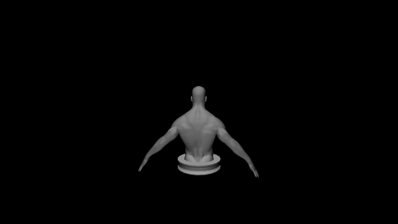 ArtStation - Torso Animation Test
