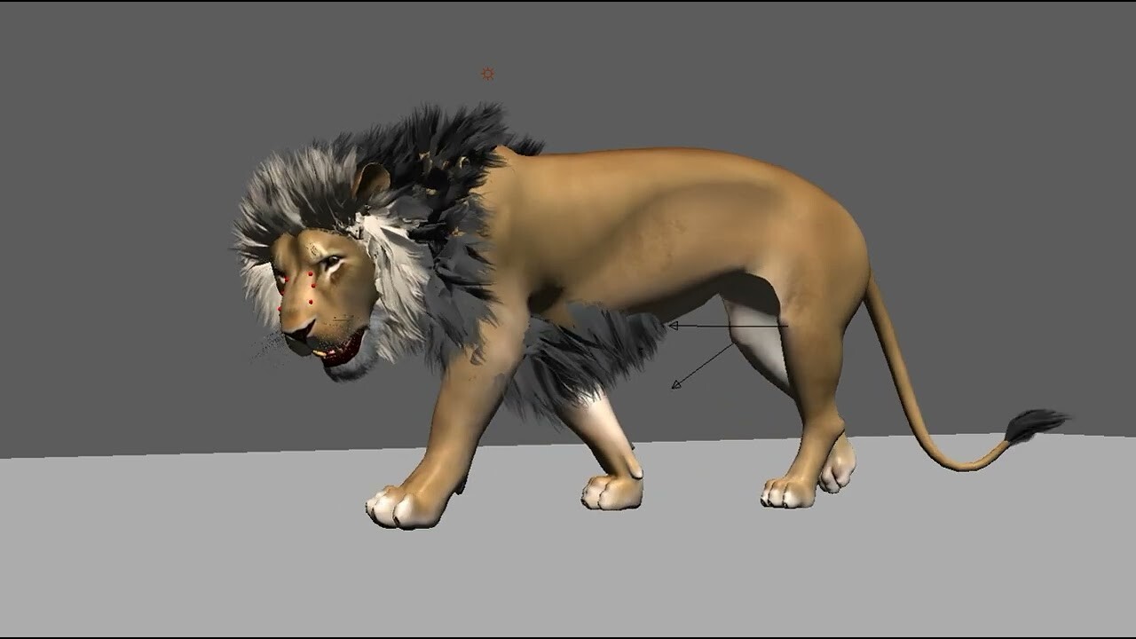 ArtStation - Lion- Quadruped Animation Test