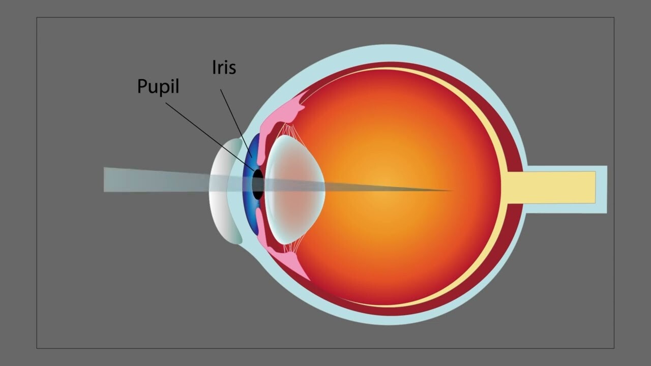 ArtStation - Presbyopia Instructional Animation
