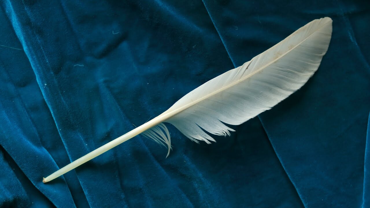 ArtStation - Checking how to draw with a quill pen for the first time