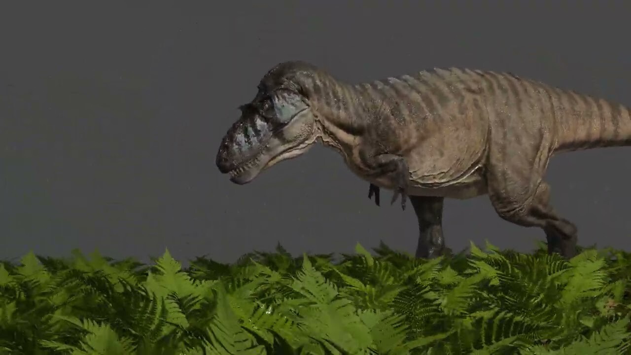 ArtStation - Dinosaur animation practice