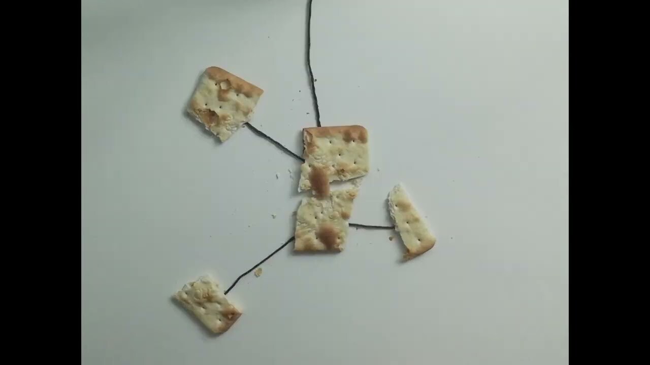 ArtStation - Biscuit Stop-Motion Animation