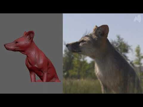 ArtStation - Patagonian Fox - CGI