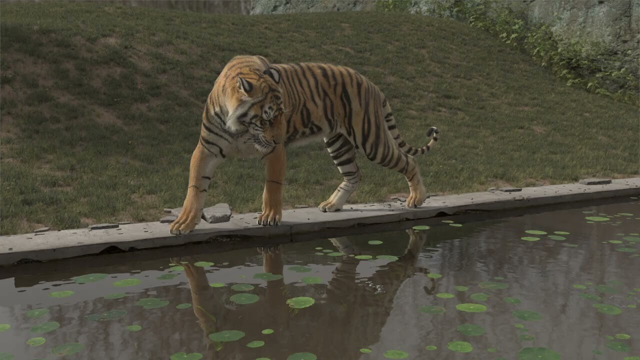 ArtStation - Tiger Animation