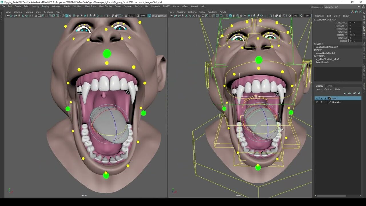 ArtStation - Rigging Facial
