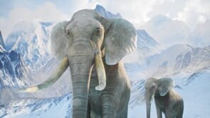 ArtStation - The Summit