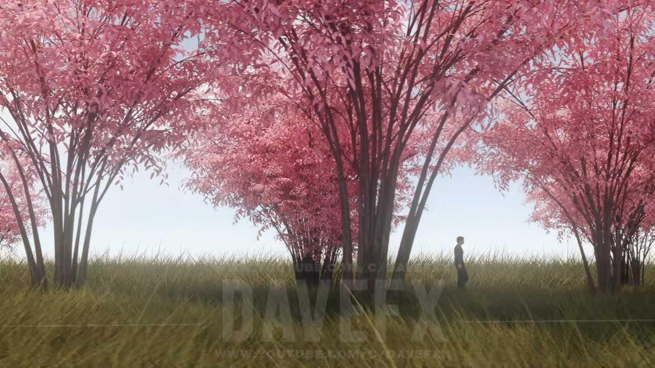 ArtStation - Walking in Nature Time Lapse - Looping Animation - C4D ...
