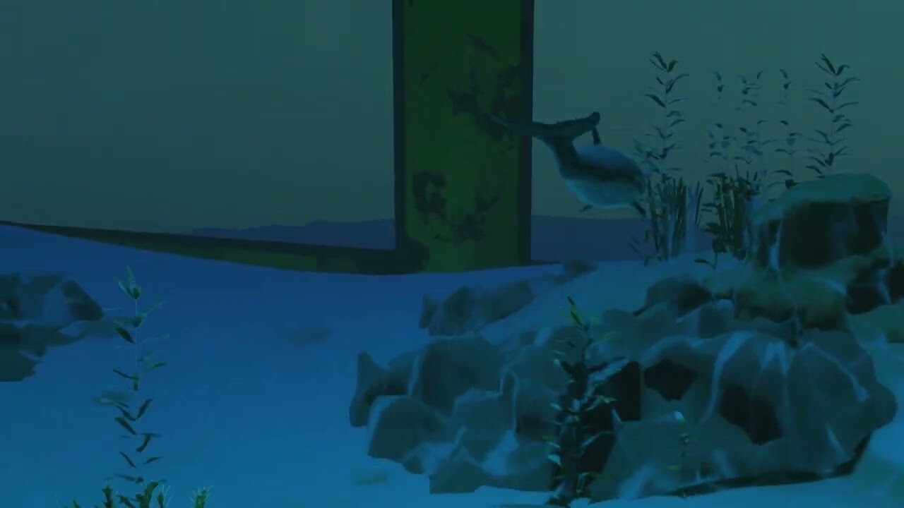 ArtStation - Animated dolphin and underwater environment project