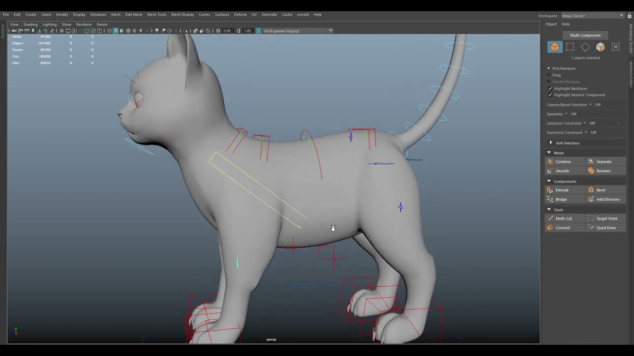 ArtStation - Cat Rig