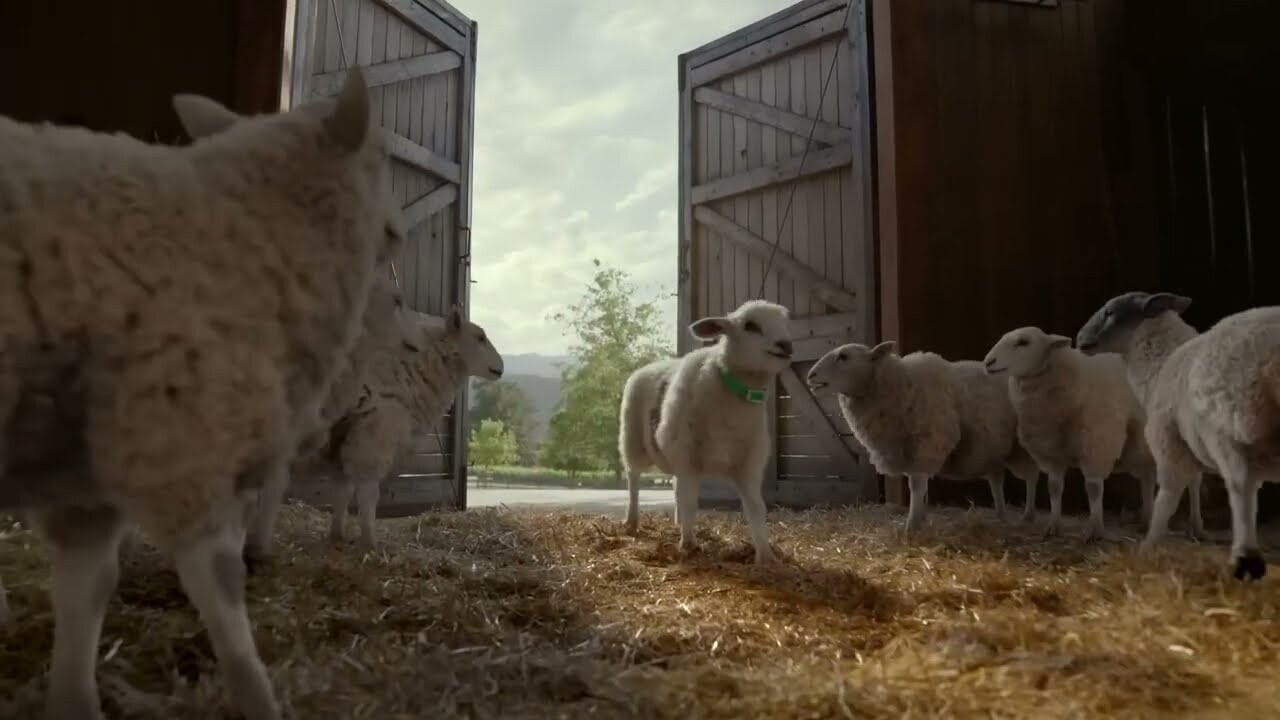 ArtStation - Rigging a sheep for Cox Mobile