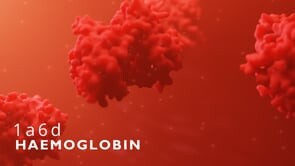 ArtStation - Haemoglobin Animation