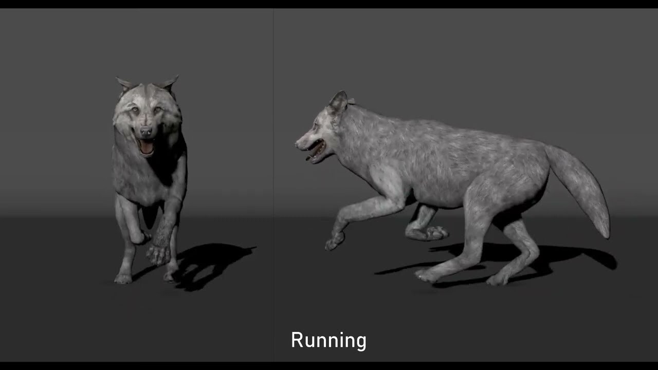 ArtStation - Wolf Movement Cycles
