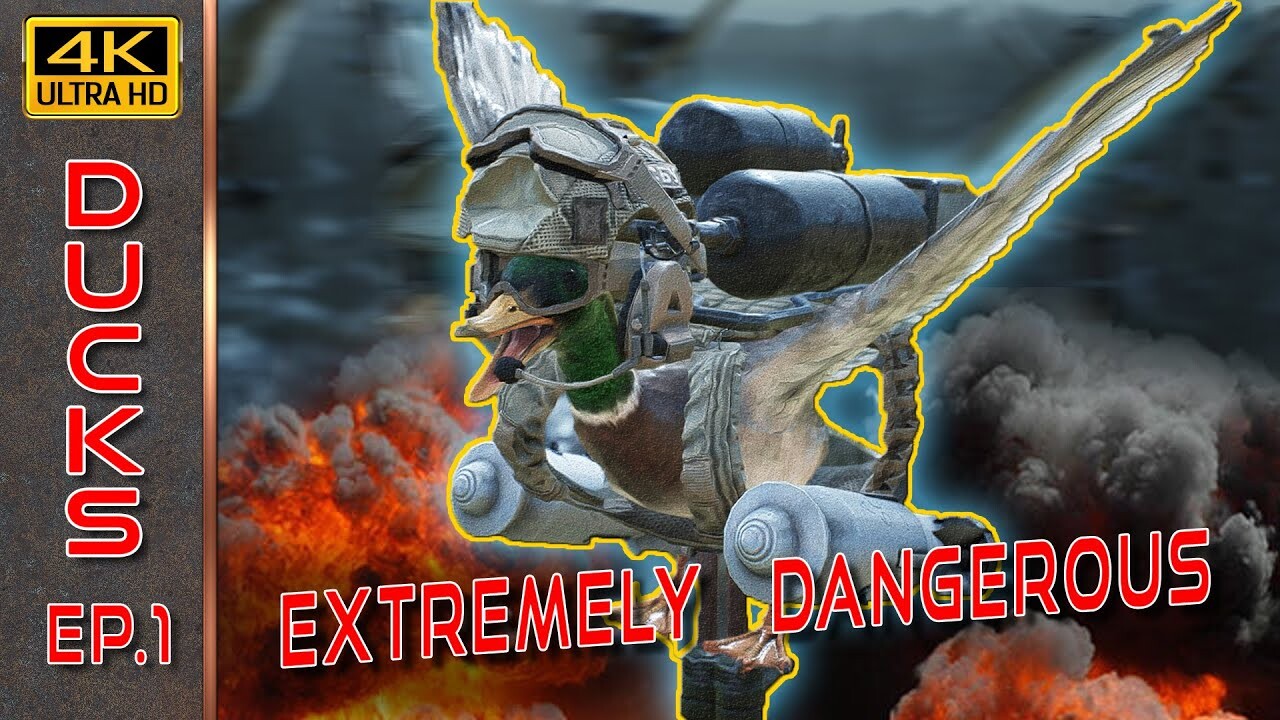 ArtStation - Combat Ducks