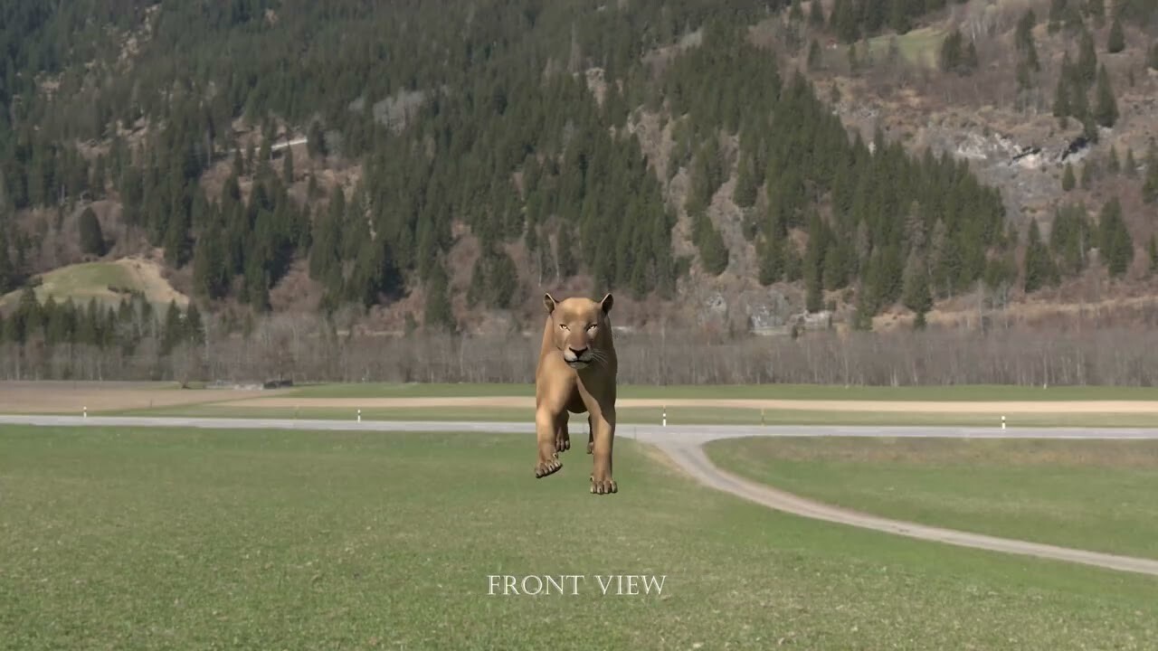 ArtStation - Lion Run Cycle