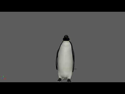 ArtStation - Penguin Animation