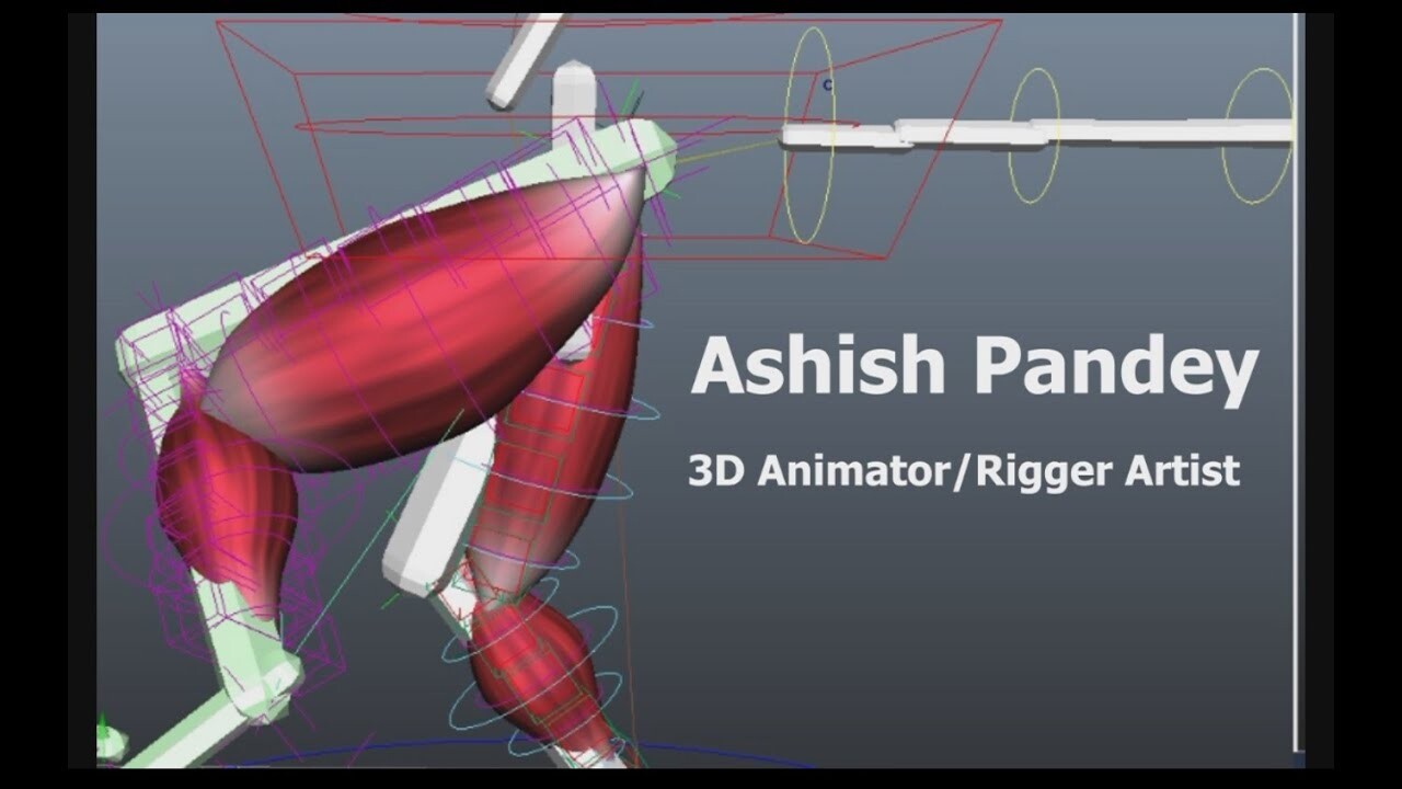 ArtStation - Maya Muscle Rig..3D Animation..#tutorial,#3D software ...