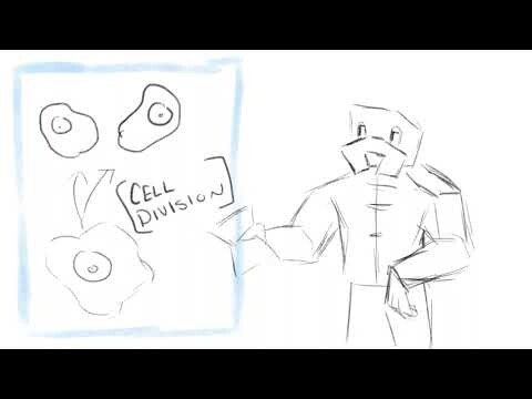 ArtStation - Mitosis | Cells 101