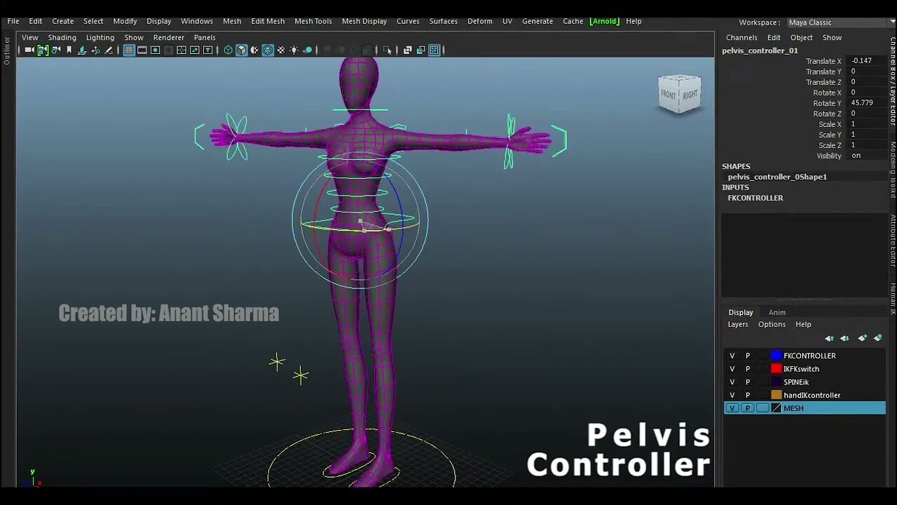 ArtStation - Female character rig with skinning