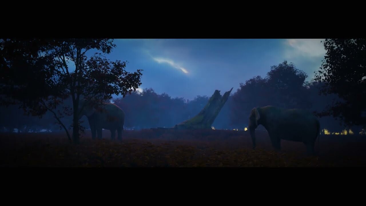 Kumar Sayan Barui - Jungle