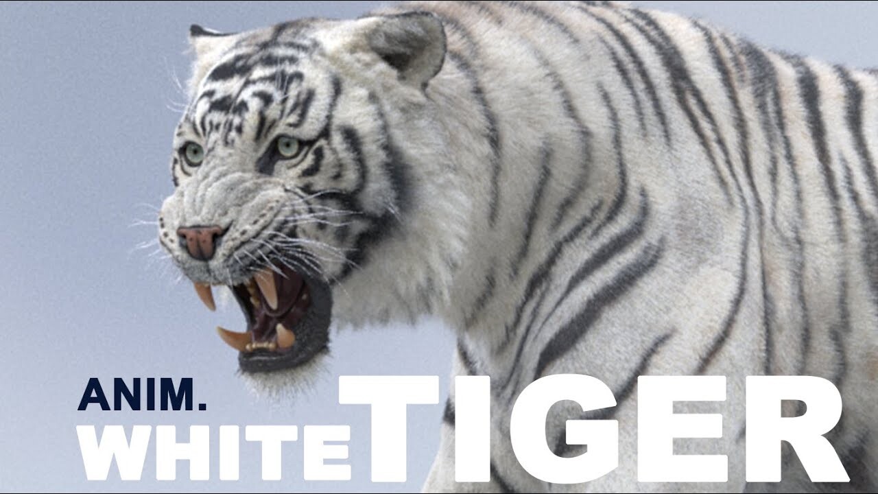 ArtStation - Tiger Animations