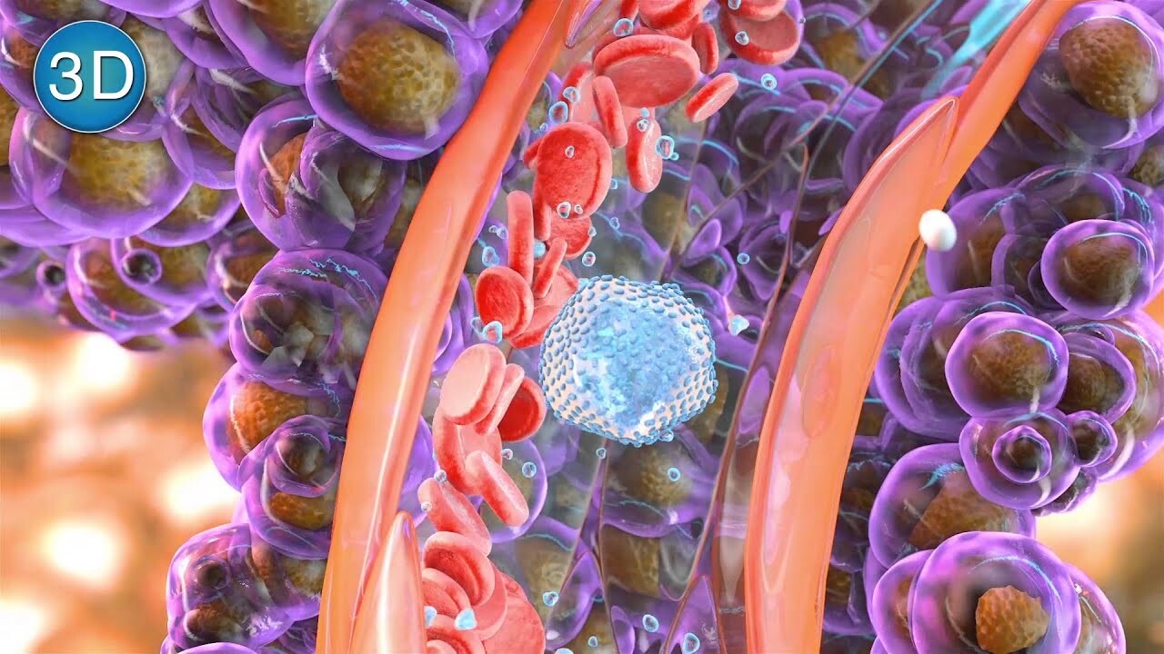 ArtStation - Animation types