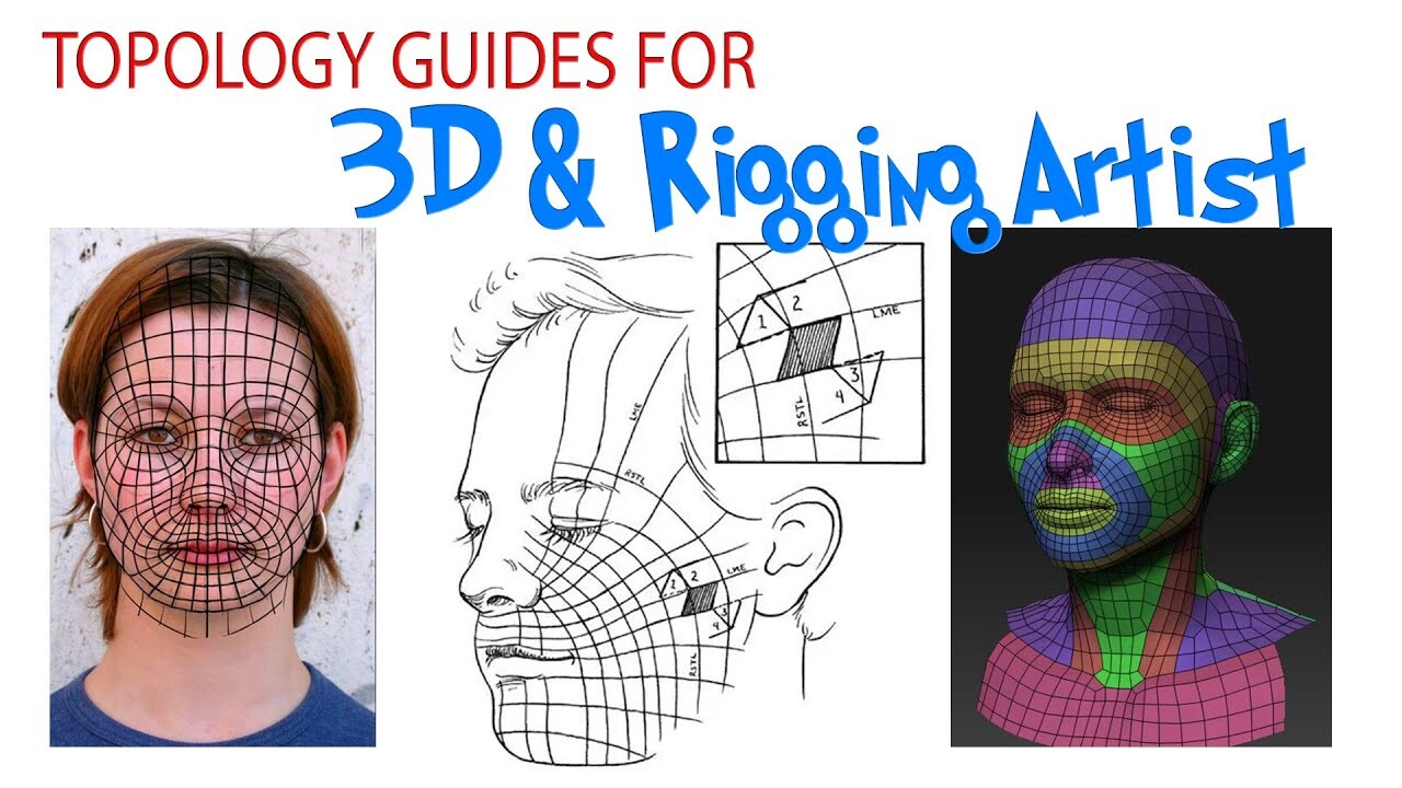 ArtStation - Topology guides for 3d Artist & Rigging Artist