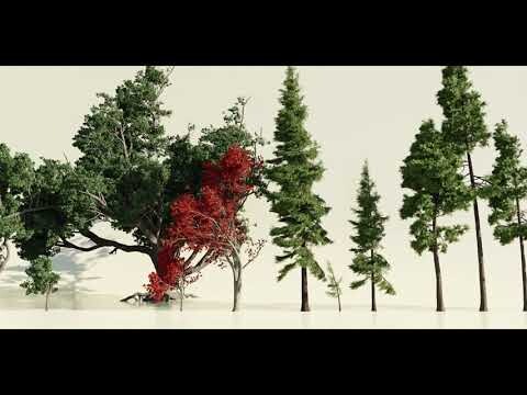 ArtStation - Procedural Trees made with Blender's Geometry Nodes