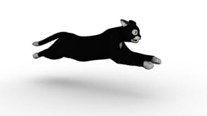 ArtStation - Quad Run Cycle Study