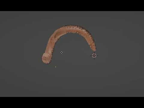 ArtStation - Monkey Tail (Rigged)