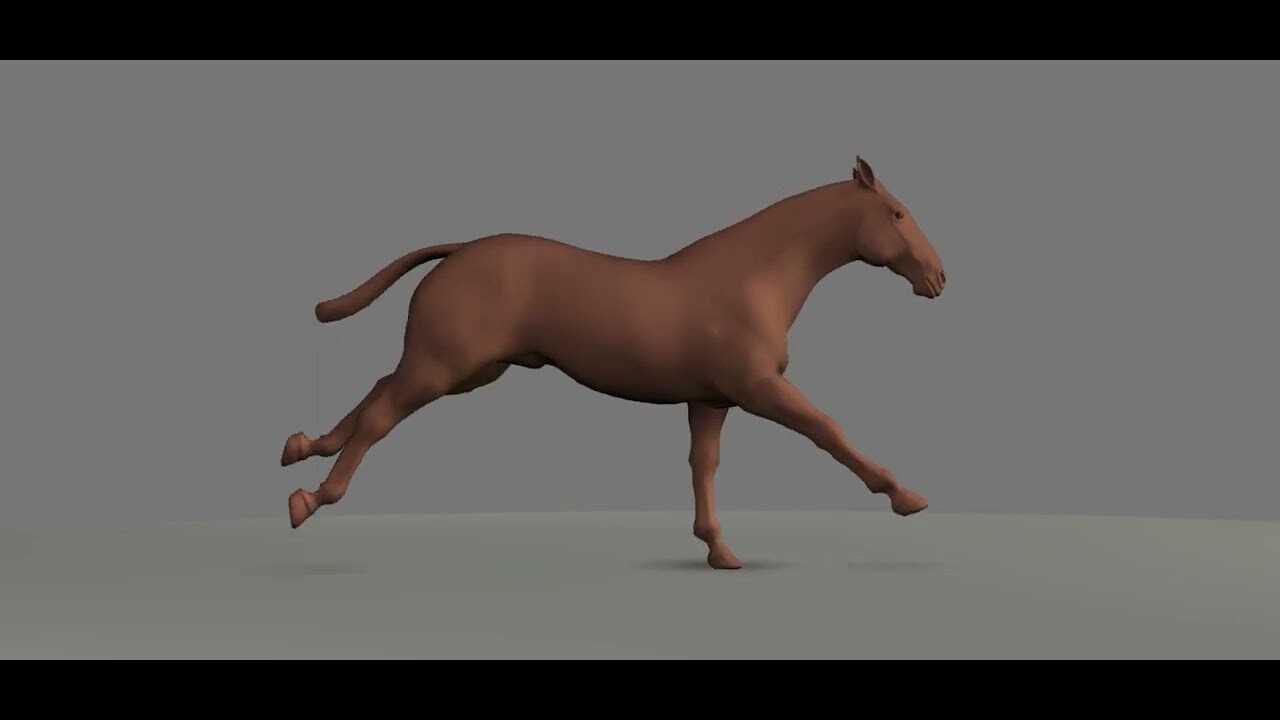 ArtStation - Horse Animation 2015