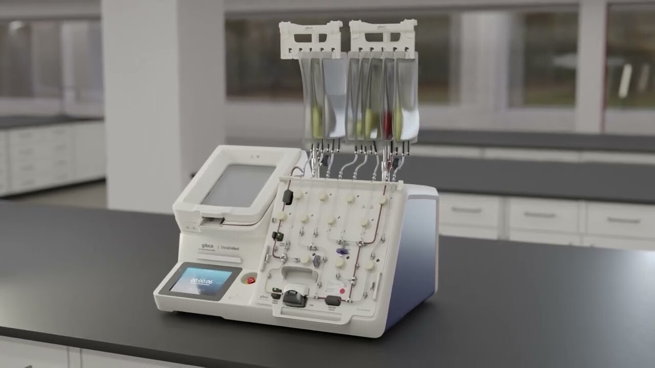 ArtStation - Dyna Cellect