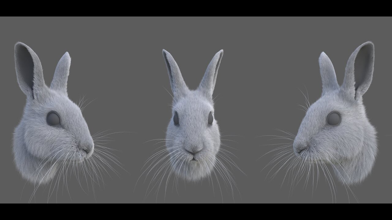 ArtStation - Rabbit | Groom