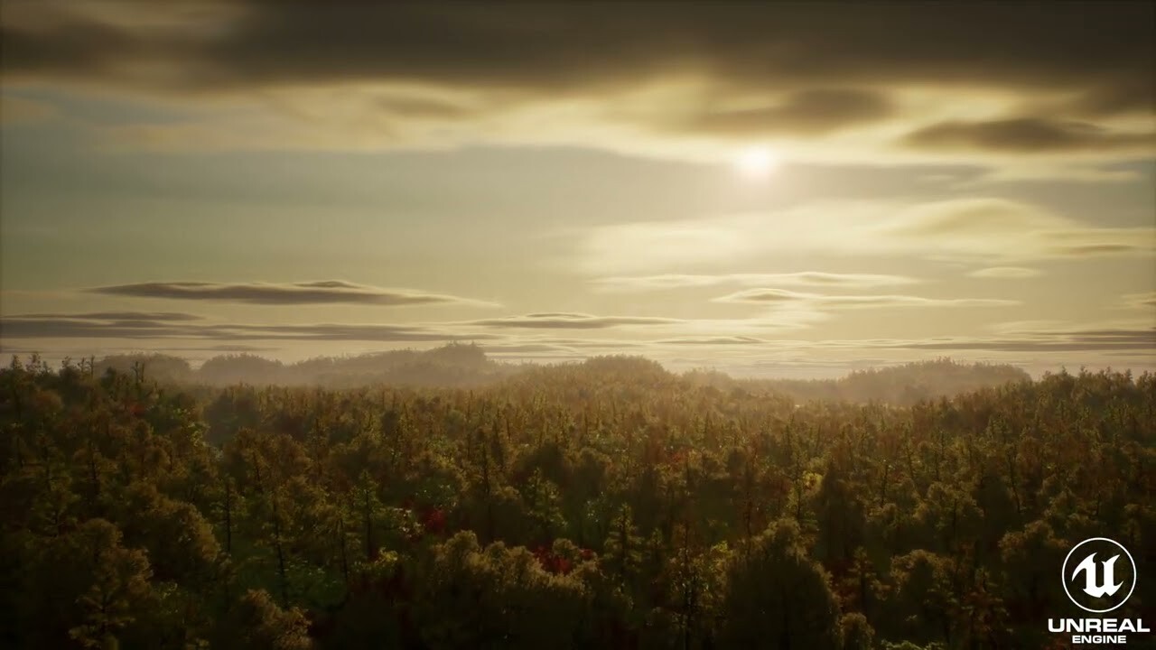 ArtStation - 100,000 Trees in Unreal Engine 5 with PCG