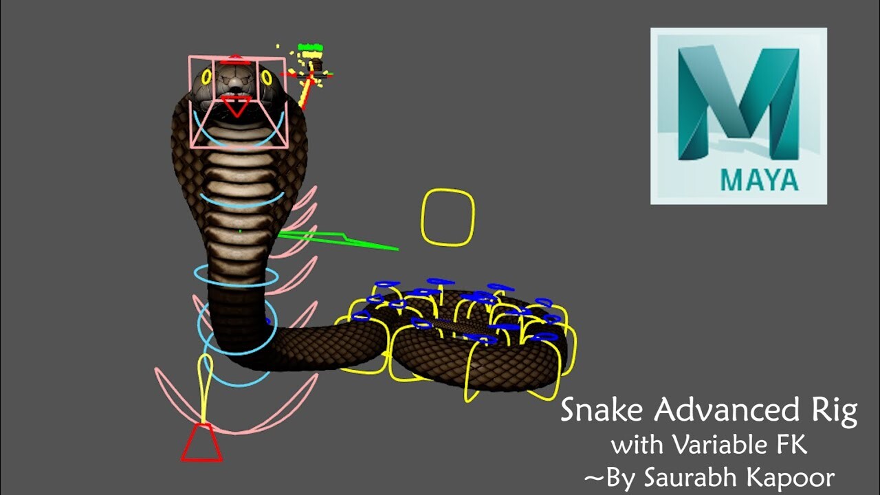 ArtStation - Snake Rig Advanced with Variable FK |Maya 2022|