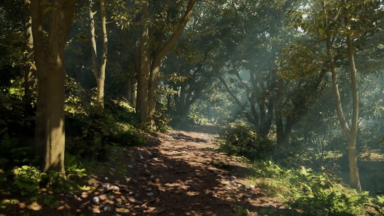 ArtStation - Into The Woods UE5
