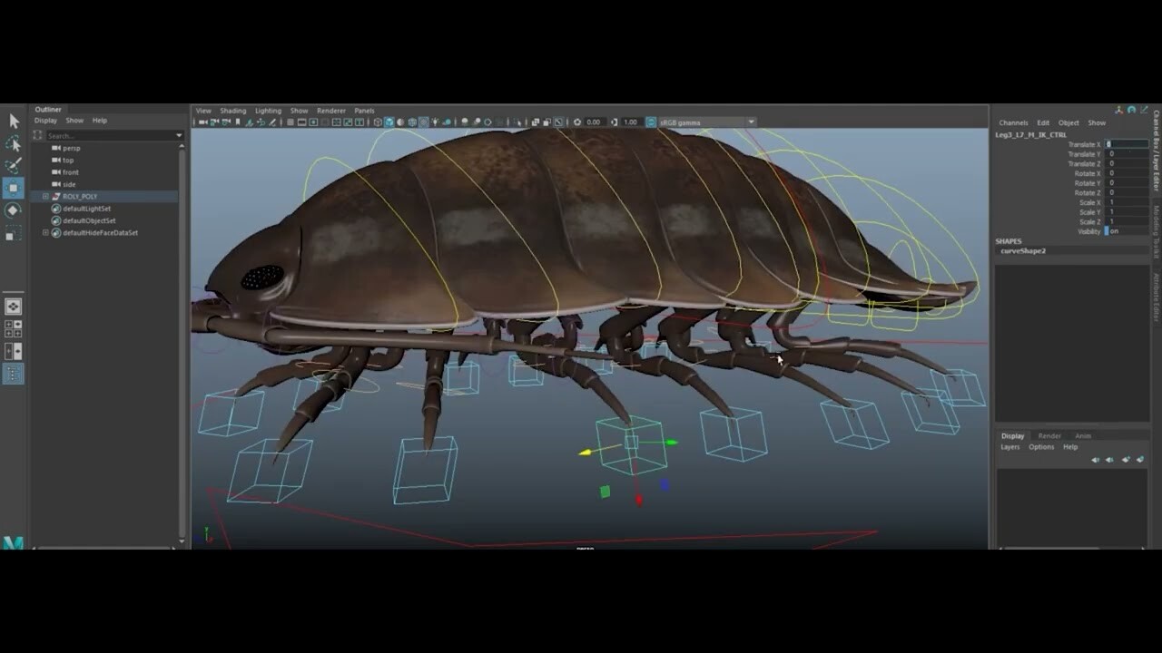 ArtStation - Hey Iam Create A new Pill Bugs Rig How is this :)