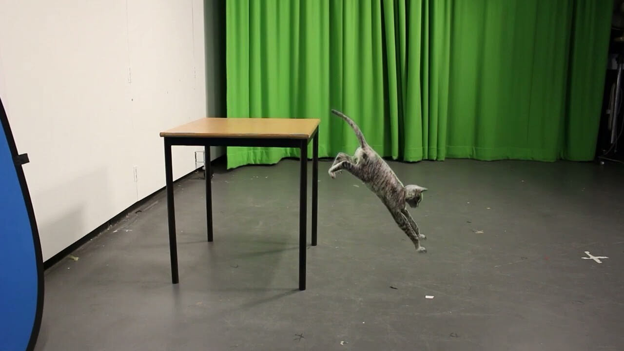 ArtStation - 3D CGI Cat Animation