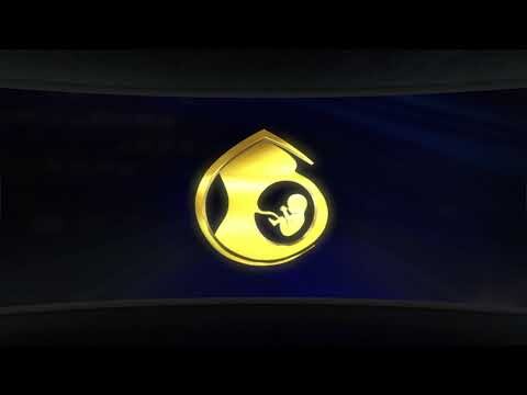 ArtStation - TLC LIVE EVENT 2024 OBB