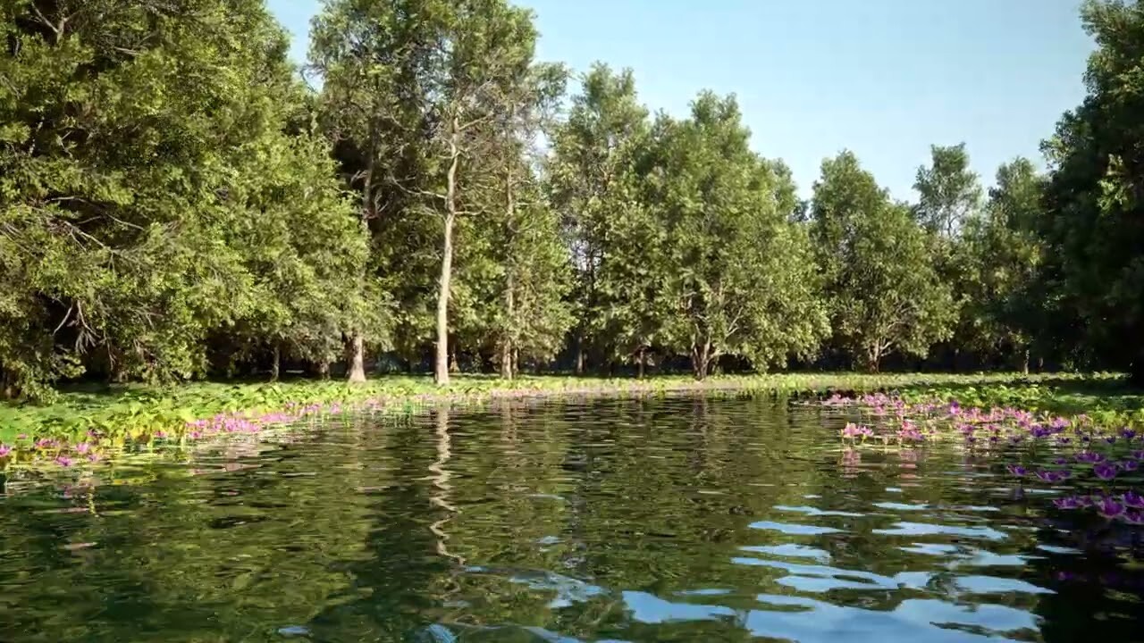 ArtStation - Whispers of the Wild