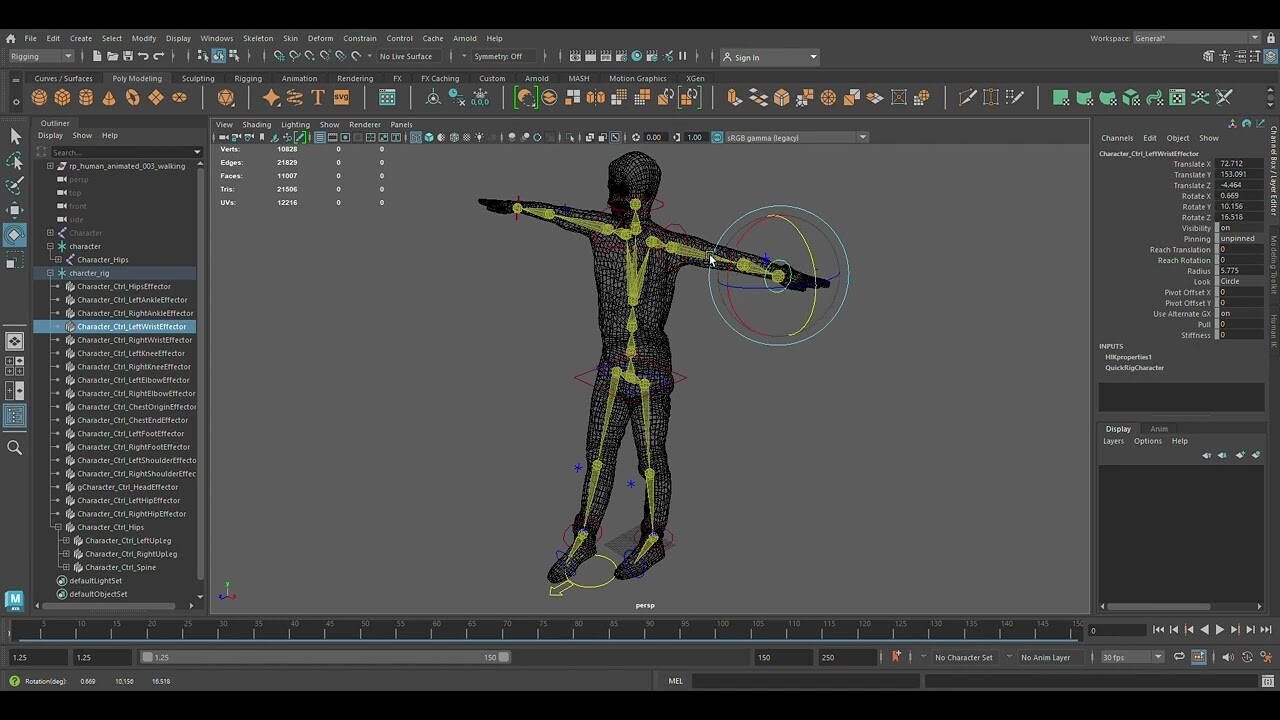 ArtStation - human character rigging