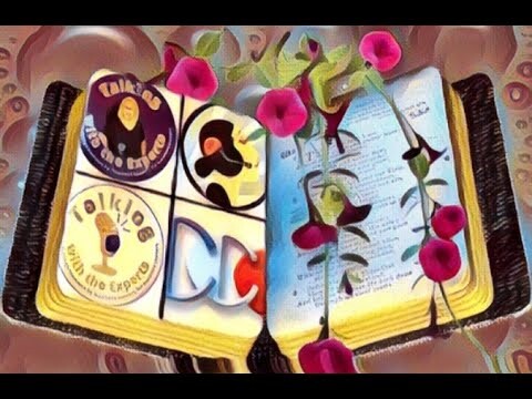 ArtStation - Talking with the Experts podcast with Rose Davidson. A ...