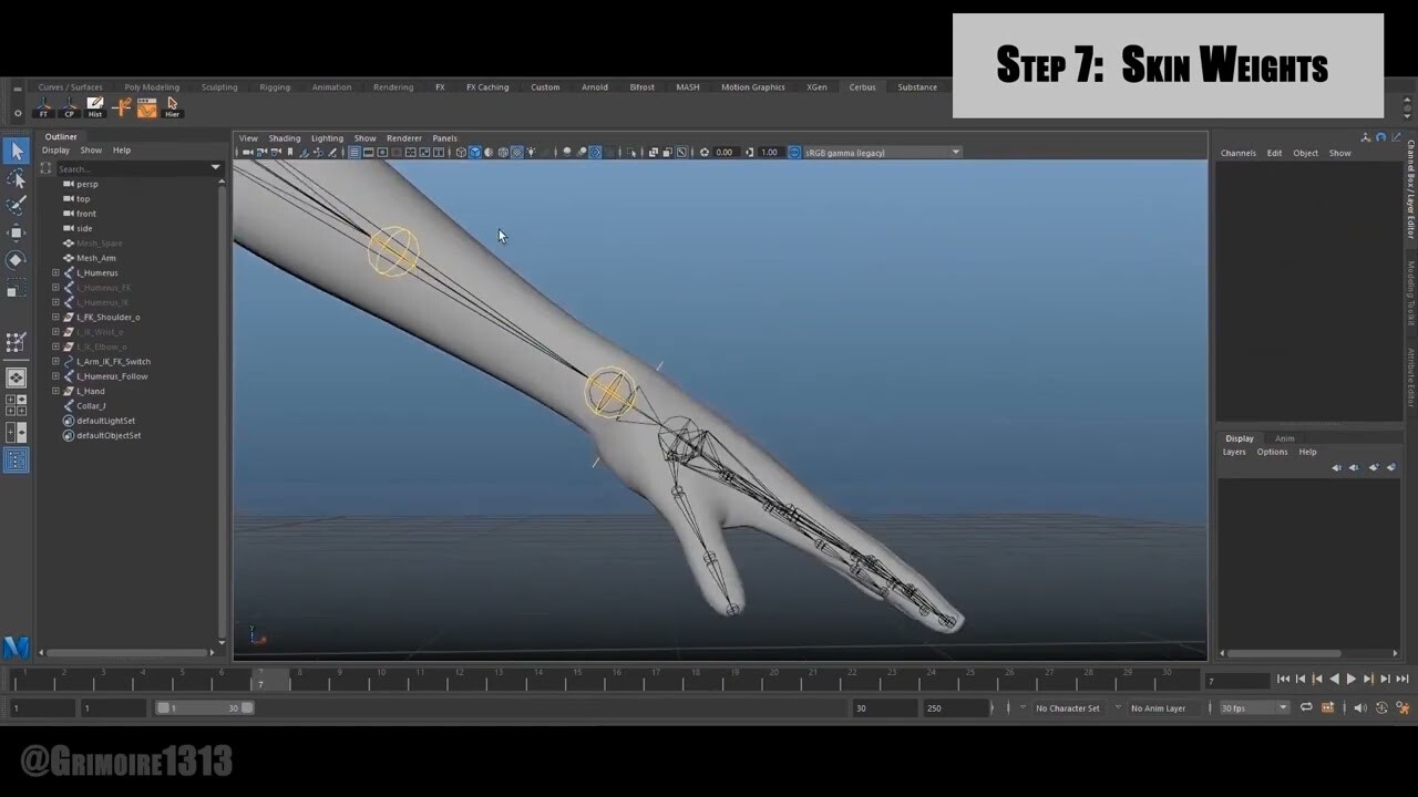 ArtStation - 3D Rig Video (Arm Rig)