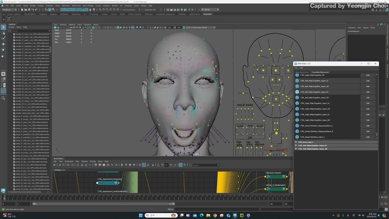 ArtStation - MetaHuman DNA Editor (WIP)