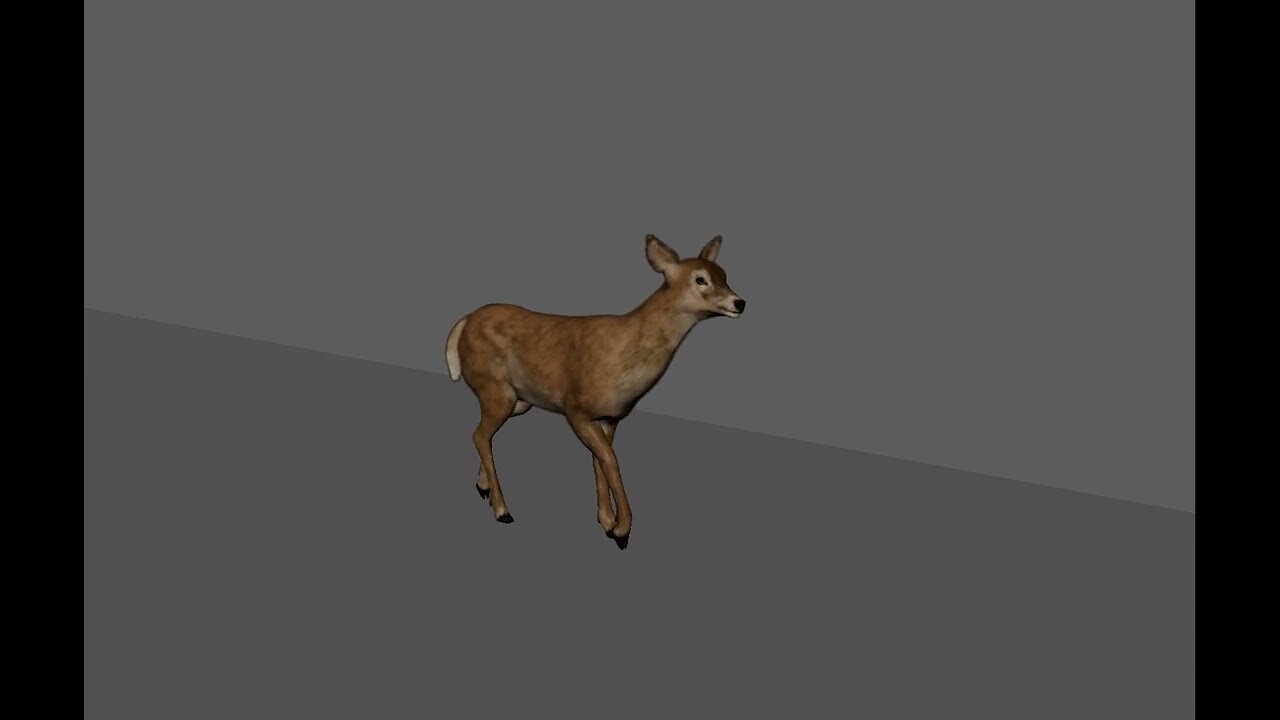 ArtStation - Creature Animation Elective