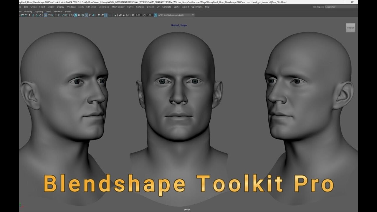 ArtStation - Blendshape Toolkit Pro (A Python Tool for Maya)